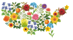USA State Flowers – US Wildflower Maps