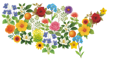 USA State Flowers – US Wildflower Maps