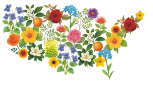 USA State Flowers – US Wildflower Maps